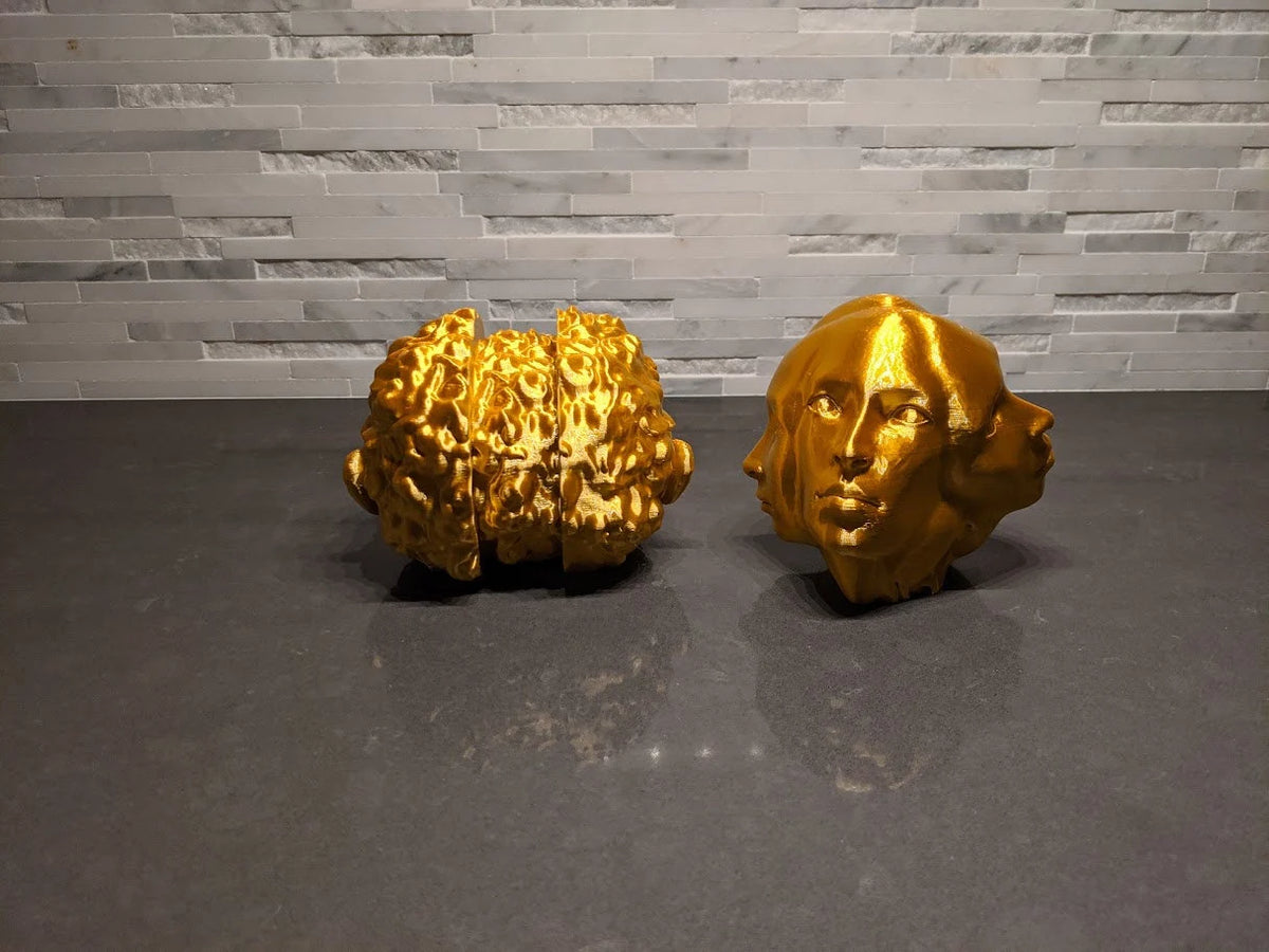 Large Chaos Orb and Exalted Orb Bundle – Casual Chicken